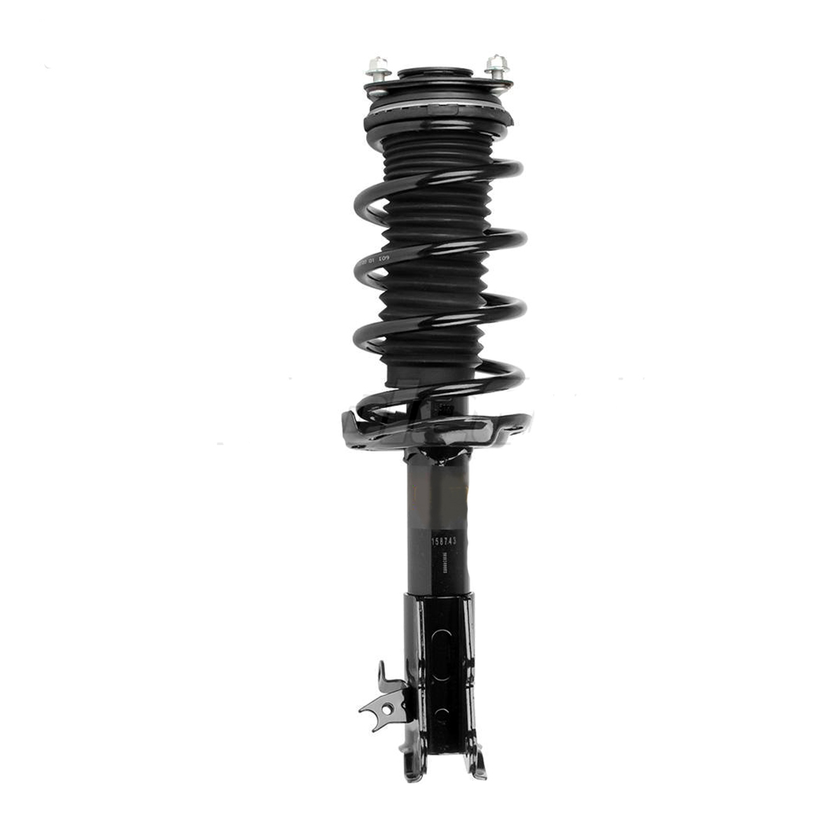 2008 Acura CSX Front Passenger Side Strut w/Coil Spring