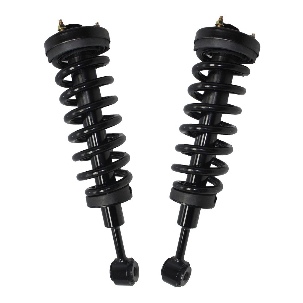 Front Struts w/Coil Spring (Pair)